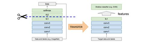 Face Recognition Using Transfer Learning