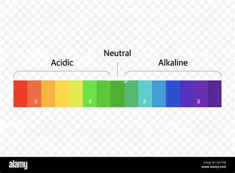 The Ph scale universal Indicator ph Color Chart diagram. Vector illustration with ph scale Stock ...
