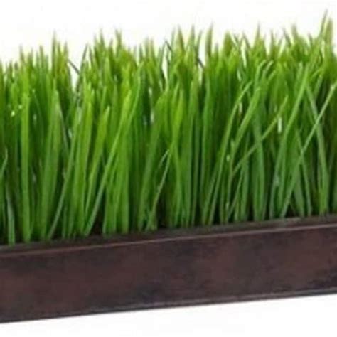 Artificial Grass Etsy
