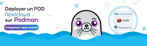 Déployer Un Pod Sur Podman Integrateur Open Source
