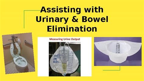 Urinary And Bowel Elimination Powerpoint Presentation Tpt