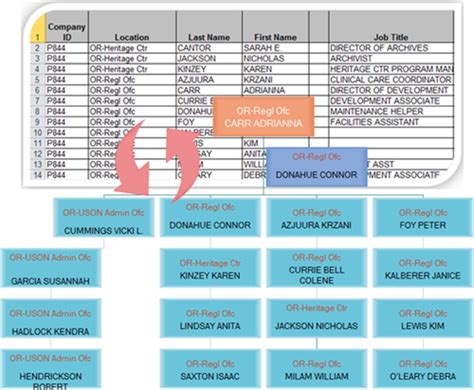 Name And Title Organization Chart Orgcharting How To Change The Box Colors Of Your Org Chart