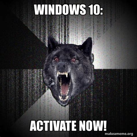 Windows Activate Now Insanity Wolf Meme Generator