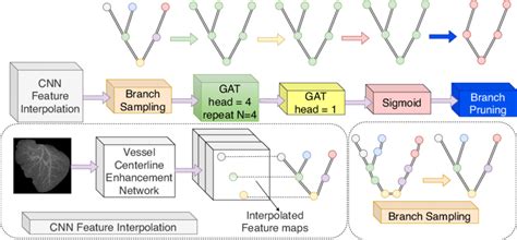 The Illustration Of The Proposed Gnn Based Vessel Reconstruction Pruning Download Scientific