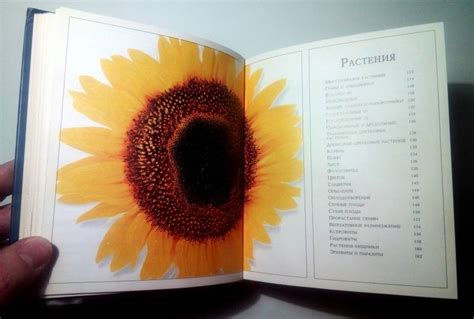 Книга Иллюстрированный энциклопедический словарь Купить книгу читать рецензии Лабиринт