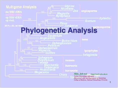 PPT Phylogenetic Analysis PowerPoint Presentation Free Download ID