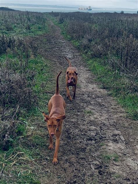 james morse on linkedin habitstacking selfreflection coaching