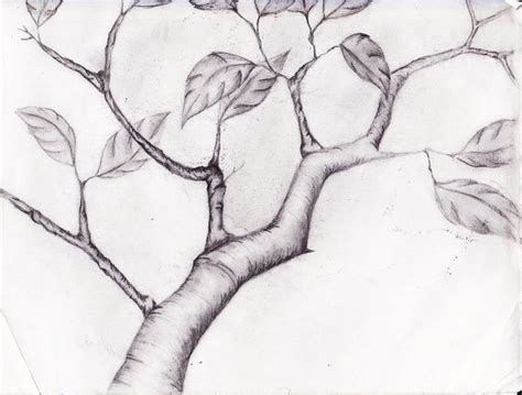 Tree Branch By Shadow Kawaii On DeviantART Branch Drawing Flower Drawing Tree Drawing