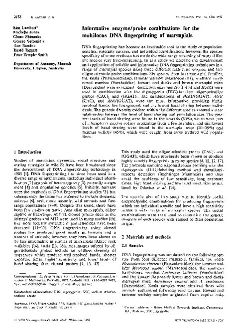 Pdf Informative Enzyme Probe Combinations For The Multilocus Dna