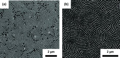 Sva Of Large Periodicity Block Copolymer Systems A Sem Image Of A Download Scientific