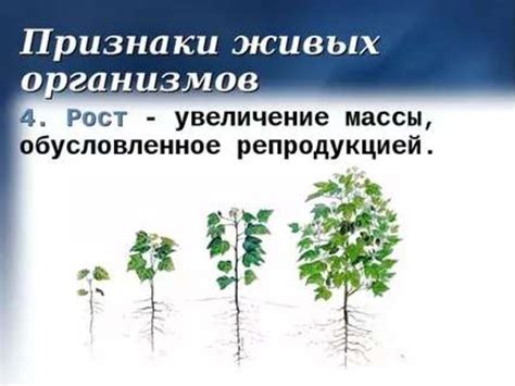 Свойства живых организмов презентация онлайн