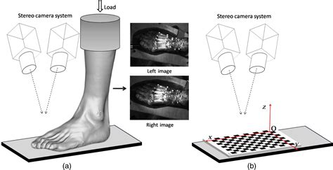 Real Time Three Dimensional Digital Image Correlation For Biomedical Applications