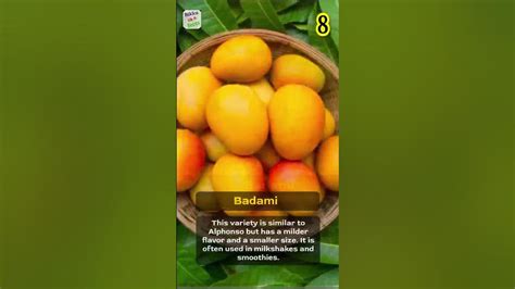 Indea Ke Top 10 Mengos Shortsvideonewfectsytcvideo Comedyvideo