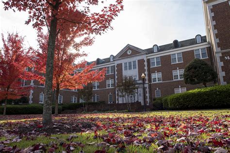 Lets Take A Moment To Appreciate This Splash Of Fall Colors At Uca
