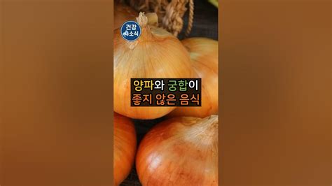 양파와 같이 먹지 마세요 Youtube