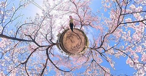 什么是cmos传感器？与ccd传感器的区别 Knowledge 103 Cizucu