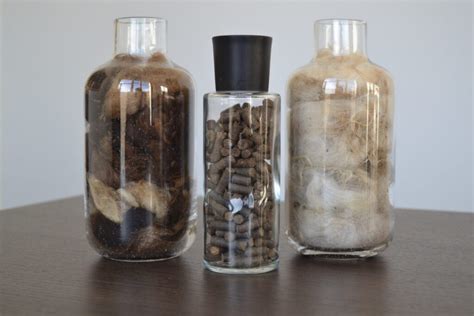 Баялаг бүтээгчдийн төлөөлөл төрийн дээд одон медаль хүртлээ