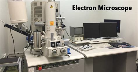 Electron Microscope Principle Types Uses Labeled Diagram
