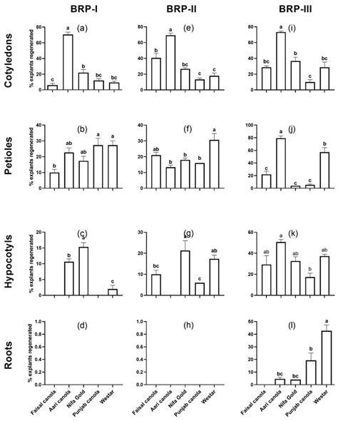 Regeneration Efficiency Of Five Brassica Cultivars From Different