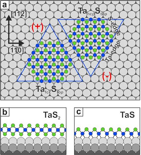 Simplified Geometric Model Of Tas2 And Tas On Au 111 Blue Circles Download Scientific