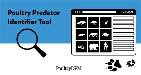 Poultry Predator Identifier Tool