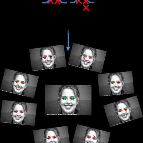 illustration of the synthetic sample generation the gaussian synthetic