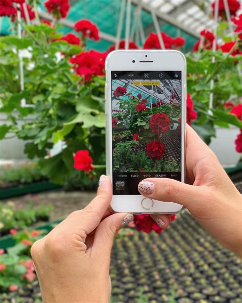 Хай Росте Трішки езотеричний пост👳 Кімнатні рослини це живі істоти що володіють власним