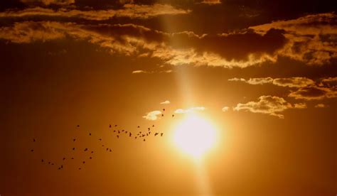 11 Solar Energy Myths And Misconceptions