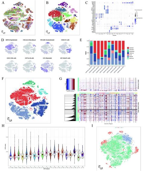 Single Cell Classification Results Of Lihc A B T Sne Plots Colored Download Scientific