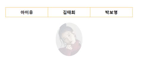 Javascript 이미지효과