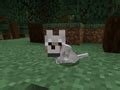 Taming Minecraft Wiki