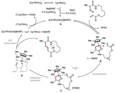 Catalysts Free Full Text Transition Metal Catalyzed C C Bond Macrocyclization Via