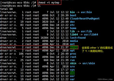 【linux基础】shell运行原理权限 内附大量实操截图 Shell 文件权限 Csdn博客 【linux基础】shell运行原理权限 内附大量实操截图 Shell 文件权限 Csdn博客