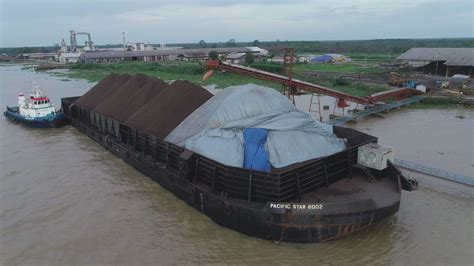 Bioenergy Palm Kernel Shell DSAP Website