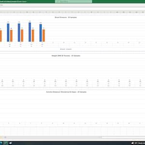 MS Excel Spreadsheet Template BMI Body Mass Index Blood Pressure Systole Diastole Health
