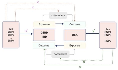 The Design Of Mendelian Randomization Mr Analysis To Assess Causality Download Scientific