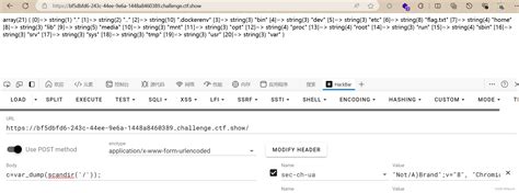 Ctfshow Web入门 命令执行（web66 Web70）ctfshow Web67 Csdn博客