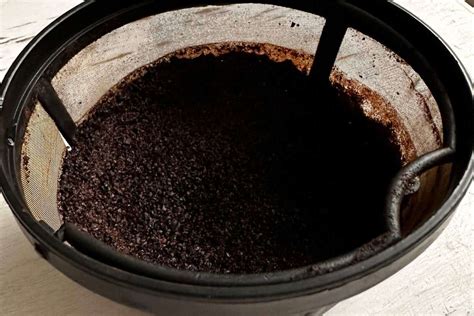 How To Make Homemade Diy Compost Starter An Off Grid Life