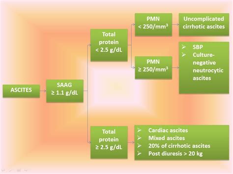 Saag กว้างแล้วยังไง Ascites Part เล่าเรื่องอายุรศาสตร์ Facebook