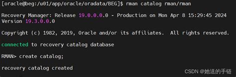 单例19c rman数据迁移方案 oracle rman迁移数据库 csdn博客