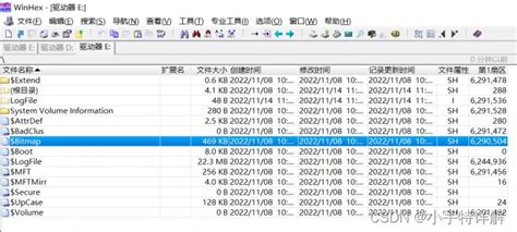 如何使用winhex恢复数据（小宇特详解） winhex数据恢复教程 csdn博客