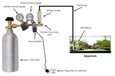 Where To Fill Co2 Tank For Aquarium At Carlos Atwood Blog