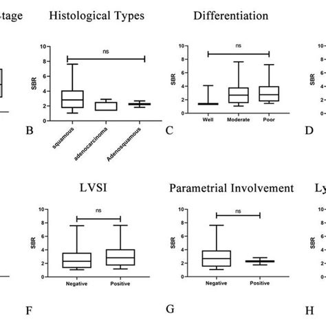 Primary Surgical Margin Invasion Evaluation With Nirf Imaging In Download Scientific Diagram
