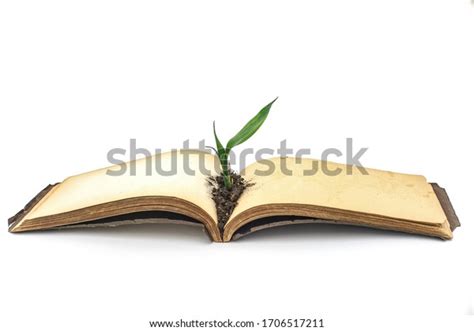 2 277 Tree Growing Out Of Book Stock Photos Images Photography Shutterstock