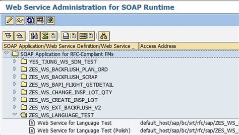 Abap Webservices Logon Language Processing Sap Community