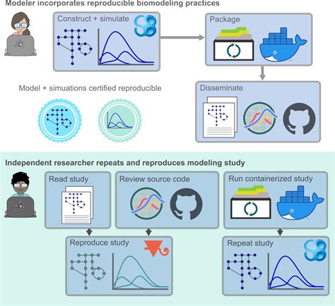 GitHub Vporubsky COMBINE Reproducible Biomodeling Workflows The Center For Reproducible