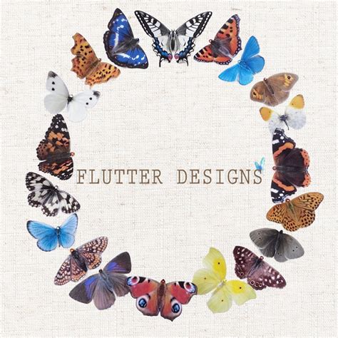 Flutter Designs Ambassadors Required Im Looking For Some Models For