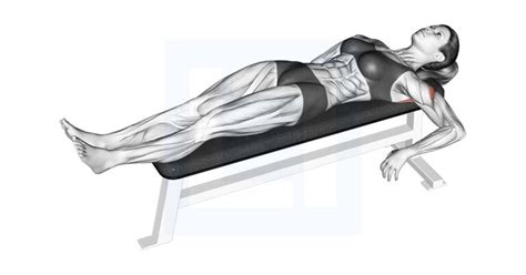 Internal Shoulder Rotation Stretch Posterior Capsule Opener