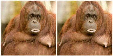 Bye Saggy Boobs Heres How To Stop Breasts From Sagging Yourtango