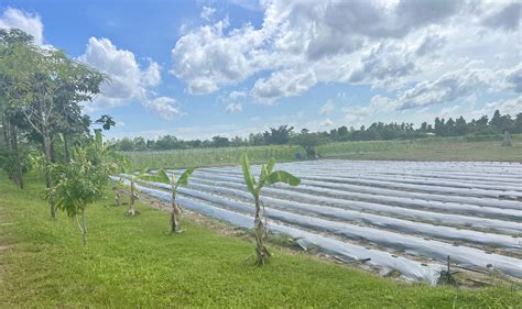 Gallery Of A Model For A Healthier Adaptive Approach To Community